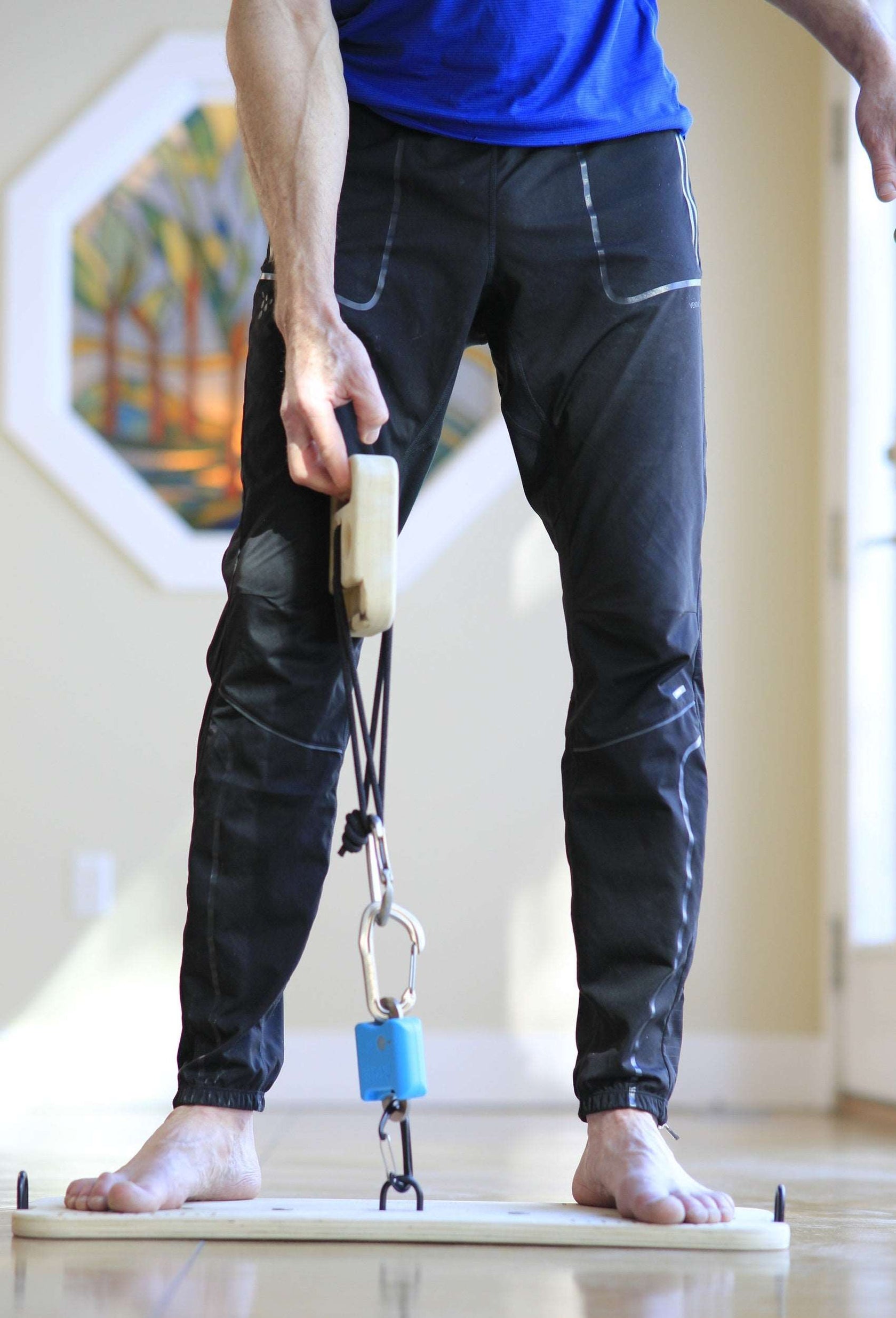 Force Board Pull-Up Package – PitchSix